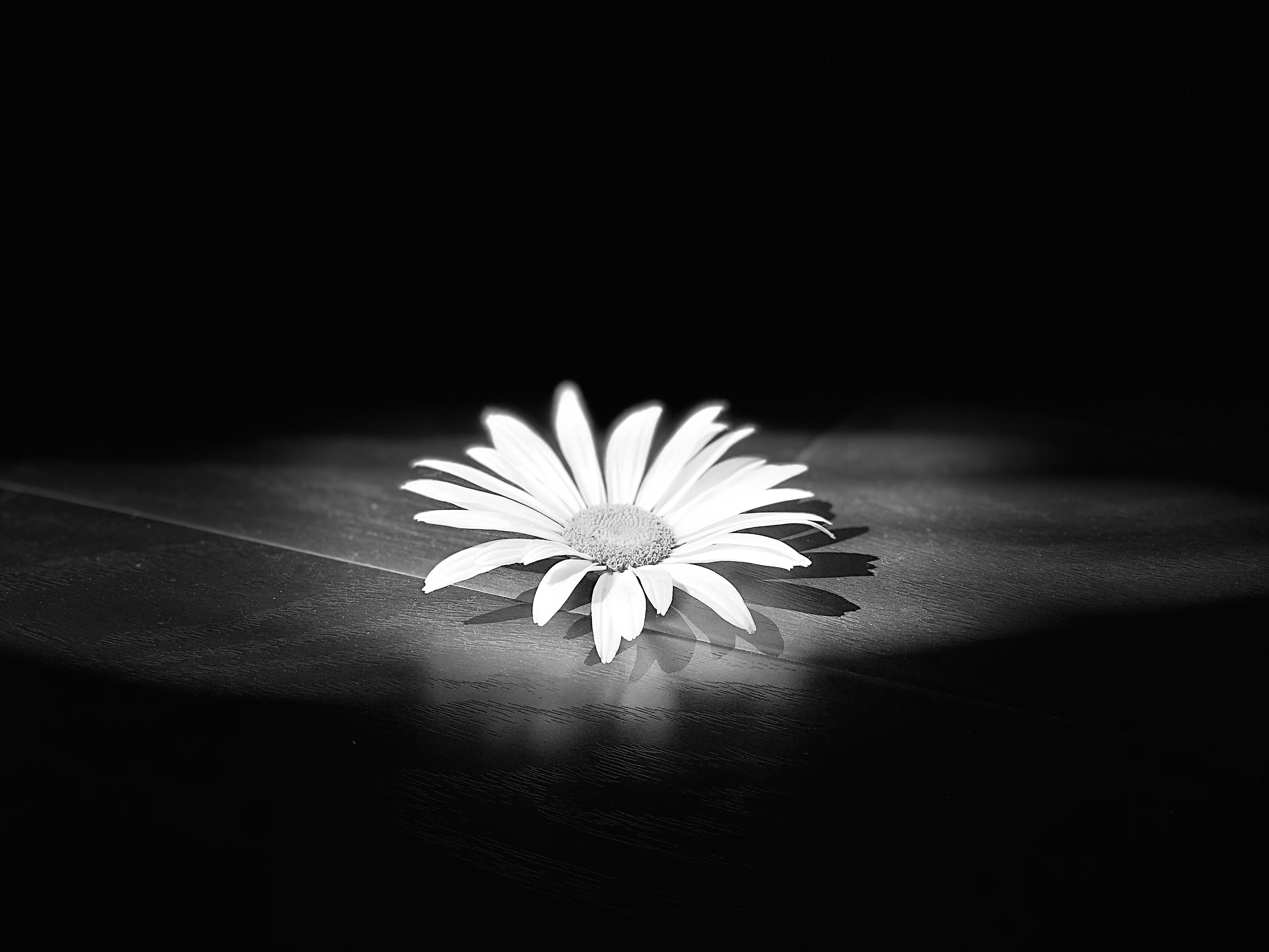 Quick Response #1: Elements of Art and Principles of Art